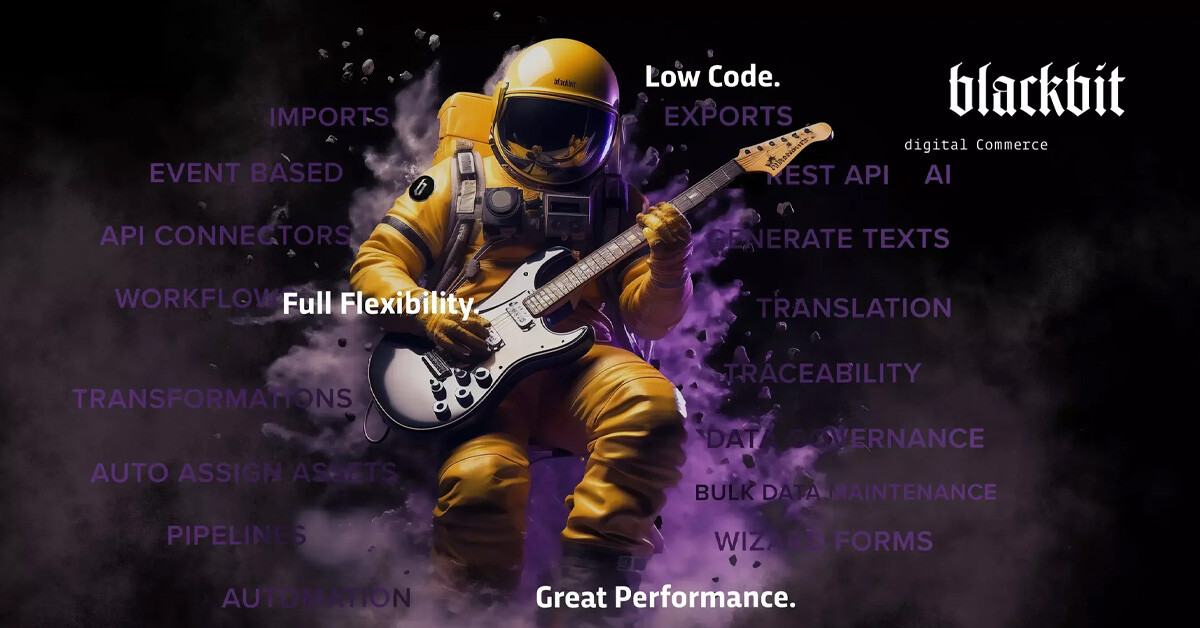 Blackbit Data Director for Pimcore