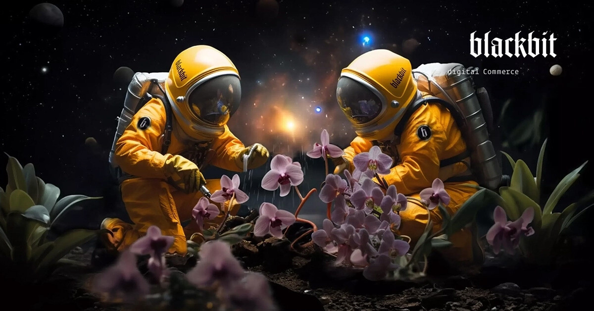 What is Pimcore about? | Blackbit digital Commerce Agentur